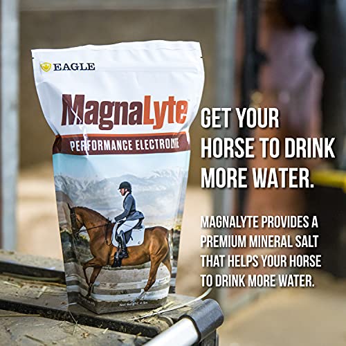 MagnaLyte Loose Salt and Electrolytes for Horses by Eagle Equine | Mineral sea Salt, Trace Minerals, Electrolytes | 6 lb Bag