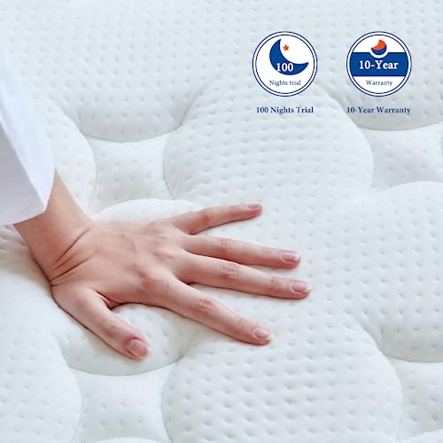 Coolvie Queen Mattresses 14 Inch, Hybrid Queen Size Mattress in a Box, 4 Layer Premium Foam with Pocket Springs for Motion Isolation and Pressure Relieving, Medium Firm Feel, 100-Night Trial