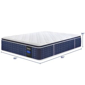 Coolvie Queen Mattresses 14 Inch, Hybrid Queen Size Mattress in a Box, 4 Layer Premium Foam with Pocket Springs for Motion Isolation and Pressure Relieving, Medium Firm Feel, 100-Night Trial