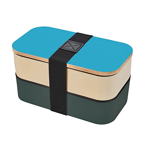 Sea Cyan Premium Bento Lunch Box, 2 Compartments Leakproof Lunch Box With Cutlery For Adults, Microwave & Dishwasher Safe