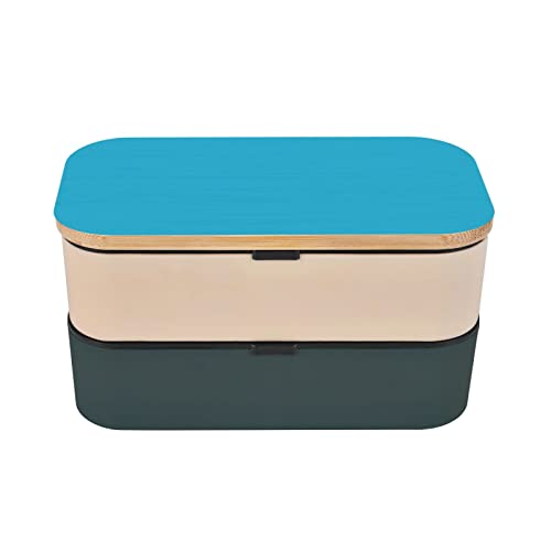 Sea Cyan Premium Bento Lunch Box, 2 Compartments Leakproof Lunch Box With Cutlery For Adults, Microwave & Dishwasher Safe