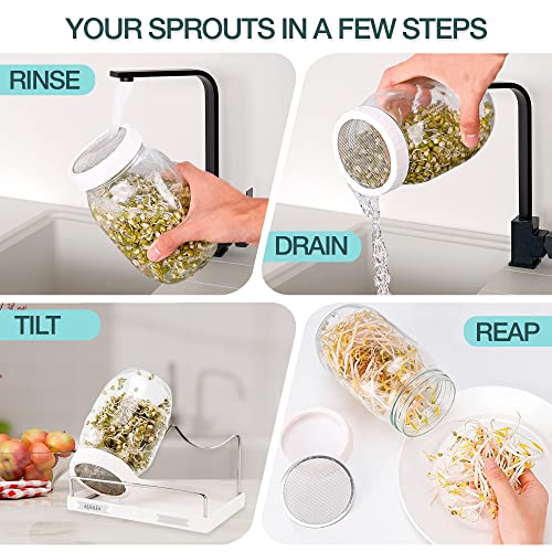 VIREOR Sprouting Jar Kit - 2 Wide Mouth Mason Jars with Premium Stainless Steel - Sprouts Growing Kit Includes Canning Brush and Recipe Book - Sprouting Kit for Growing Broccoli, Alfalfa, Beans