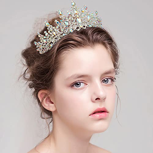 Chanaco Birthday Sash Birthday Crowns for Women Birthday Girl Sash Birthday Girl Crown Silver Birthday Tiara Happy Birthday Decorations for Women Birthday Party Suppliers Gifts