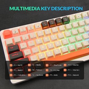 Rii Mechanical Gaming Keyboard,Compact PC Keyboard with Number Pad,Wired Mechanical Keyboard 100 Keys with Backlit,Blue Switch for Mac/Windows/Chrome/Linux/Computer/Laptop/PC