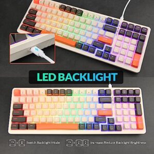 Rii Mechanical Gaming Keyboard,Compact PC Keyboard with Number Pad,Wired Mechanical Keyboard 100 Keys with Backlit,Blue Switch for Mac/Windows/Chrome/Linux/Computer/Laptop/PC