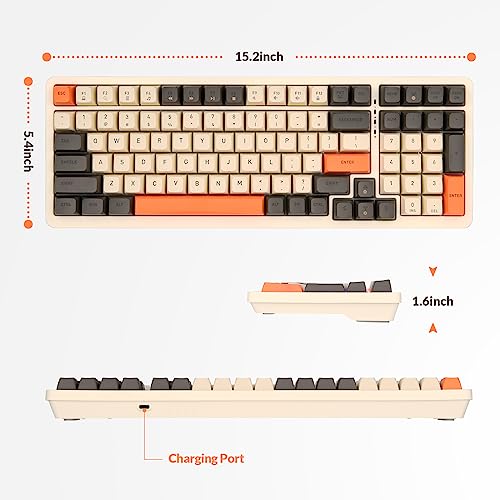 Rii Mechanical Gaming Keyboard,Compact PC Keyboard with Number Pad,Wired Mechanical Keyboard 100 Keys with Backlit,Blue Switch for Mac/Windows/Chrome/Linux/Computer/Laptop/PC