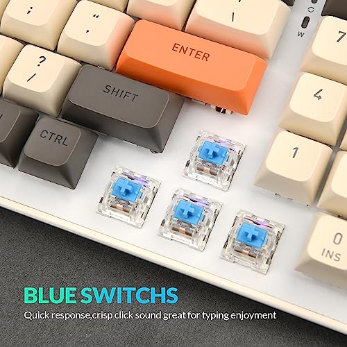 Rii Mechanical Gaming Keyboard,Compact PC Keyboard with Number Pad,Wired Mechanical Keyboard 100 Keys with Backlit,Blue Switch for Mac/Windows/Chrome/Linux/Computer/Laptop/PC