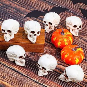 KIMOBER 8PCS Halloween Skull Heads Decor,Plastic Realistic Human Skeleton Skulls Head Prank Props for Party Bar Home Table Decorations (1.8 x 2 x 2.4 Inches)