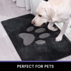 Door Mat Indoor, Dog Mats for Muddy Paws Super Absorbent, Low-Profile Entryway Rug with Non-Slip Backing, Washable Dirty Trapper Inside Entrance Doormat for Shoes, 20" x 32", Dark Gray