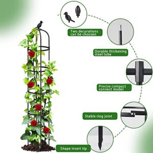 Garden Trellis for Climbing Plants Rustproof Coated Metal 6ft Tall Plant Support Trellis for Indoor & Outdoor Plants, Climbing Plant, Tomatoes, Vegetables, Fruits, Flowers, Pots, Vines