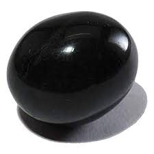 Shaligram Saligram Shali Gram Natural shaligram Shila gandaki River Narmada Nadi shaligram (Black) Stoneware Yantra (Pack of 1) Poojan Hawan and anushthan items samagri