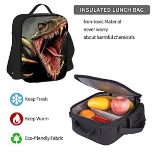 CNRYRIO Dinosaur Backpack Kids School Bag Set 17 Inch Laptop Backpack with Insulated Lunch Box and Pencil Case for Boys and Girls (Dinosaur-B)