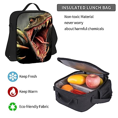 CNRYRIO Dinosaur Backpack Kids School Bag Set 17 Inch Laptop Backpack with Insulated Lunch Box and Pencil Case for Boys and Girls (Dinosaur-B)