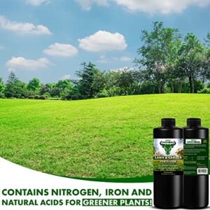 Persist Green Bull - 32oz Liquid Grass Fertilizer for Lawn and Garden Soil that Naturally Enhances Green and Creates Nitrogen Rich Plant Soil for Spring or All Year Lawn Care, Naturally Based Fertilizer for Greener Plants