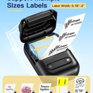 NELKO P110 Label Makers, Portable Bluetooth Thermal Label Printer, Label Maker Machine with Tape for Address, Home, Office, Organization, Compatible with Android & iOS System, with 1 Roll Label, Black