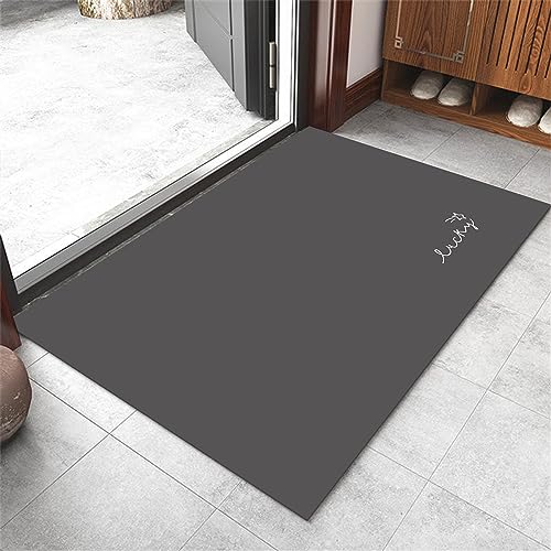 LYGLIGH Ultra Thin Door Mat Indoor Entryway Rugs Non Slip Large Absorbent Inside Door Mat for Front Door Entrance Throw Rugs with Rubber Backing Machine Washable 15.7"×25.6" Black