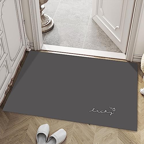 LYGLIGH Ultra Thin Door Mat Indoor Entryway Rugs Non Slip Large Absorbent Inside Door Mat for Front Door Entrance Throw Rugs with Rubber Backing Machine Washable 15.7"×25.6" Black