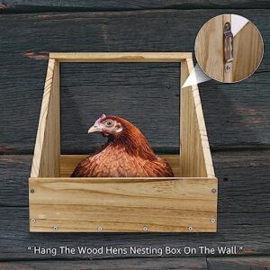 RIFPOD Hens Nesting Box,Single Compartment Chicken Nesting Boxes,Chicken Coop Accessories,Laying Box for Hens,Poultry,Birds,Duck,2 Pack