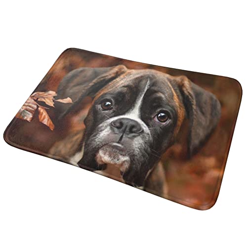 Yuwznsx Boxer Dogs Autumn Door Mat Rugs Indoor Outdoor Non Slip Entrance Front Door Doormat for Bathroom/Kithchen/Bedroom/Living Room