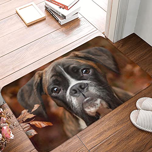 Yuwznsx Boxer Dogs Autumn Door Mat Rugs Indoor Outdoor Non Slip Entrance Front Door Doormat for Bathroom/Kithchen/Bedroom/Living Room