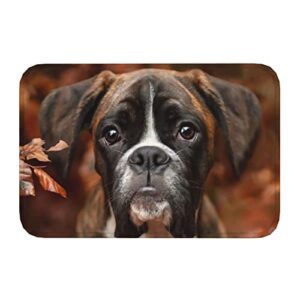 Yuwznsx Boxer Dogs Autumn Door Mat Rugs Indoor Outdoor Non Slip Entrance Front Door Doormat for Bathroom/Kithchen/Bedroom/Living Room