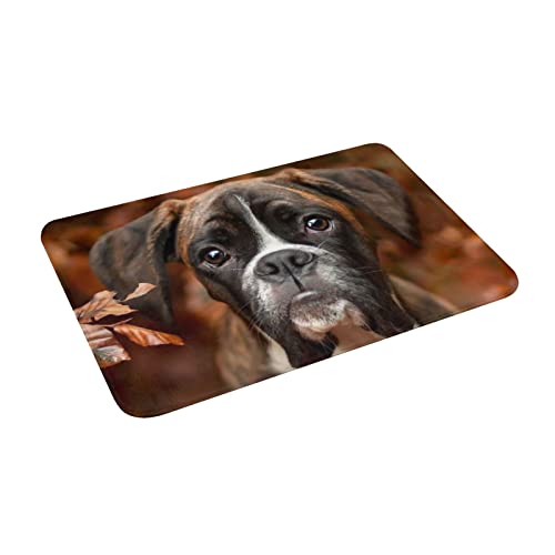 Yuwznsx Boxer Dogs Autumn Door Mat Rugs Indoor Outdoor Non Slip Entrance Front Door Doormat for Bathroom/Kithchen/Bedroom/Living Room