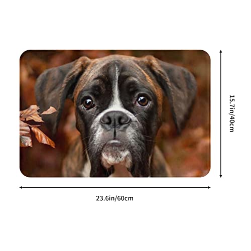 Yuwznsx Boxer Dogs Autumn Door Mat Rugs Indoor Outdoor Non Slip Entrance Front Door Doormat for Bathroom/Kithchen/Bedroom/Living Room