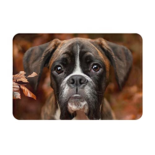 Yuwznsx Boxer Dogs Autumn Door Mat Rugs Indoor Outdoor Non Slip Entrance Front Door Doormat for Bathroom/Kithchen/Bedroom/Living Room