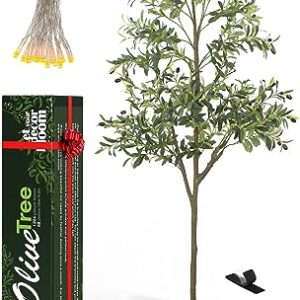 Artificial Olive Tree 6FT for Home Decor Indoor Bonus 20 ft String Light .Olive Trees Artificial Indoor Tree-Faux Olive Tree 6FT,Fake Olive Tree Faux Trees Indoor Tree,Faux Tree,Olive Tree Artificial.