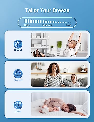 Paris Rhône Portable Air Conditioners 3-IN-1 Evaporative Air Cooler, 3 Speeds Air Conditioner Portable for 1 Room with Remote, 12H Timer, 60° Oscillation Swamp Cooler Fans for Bedroom