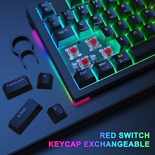 TECURS Wireless Gaming Keyboard, 80% TKL Mechanical Keyboard RGB Programmable Wired/2.4Ghz/Bluetooth Backlit Keyboard 87 Keys Compact Gamer Keyboard with Red Switch for Windows Mac PC Laptop