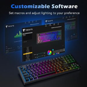 TECURS Wireless Gaming Keyboard, 80% TKL Mechanical Keyboard RGB Programmable Wired/2.4Ghz/Bluetooth Backlit Keyboard 87 Keys Compact Gamer Keyboard with Red Switch for Windows Mac PC Laptop