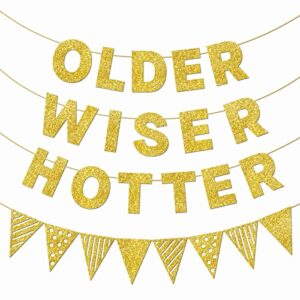 glitter older wiser hotter birthday banner adult party decorations older wiser hotter birthday decorations 21st/25th/30th birthday decorations for women