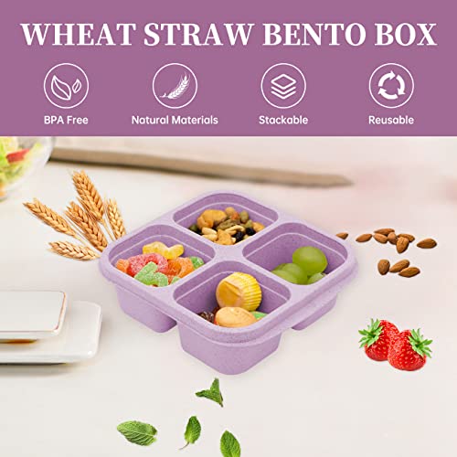 Luriseminger Bento Lunch Box，4 Compartment Snack Containers，Divided Snack Box，Meal Prep Lunch Containers FOR Kids/Toddle/Adults,Food Storage Containers for School, Work and Travel (Multicolor-5pack)