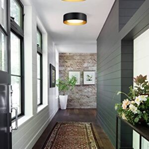 Vikaey Modern Flush Mount Ceiling Light & White Dimmable LED Ceiling Light