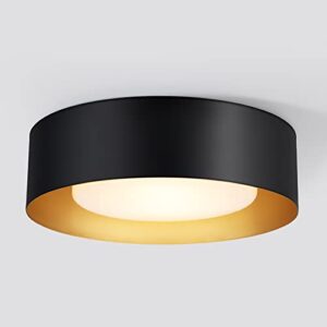 Vikaey Modern Flush Mount Ceiling Light & White Dimmable LED Ceiling Light