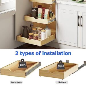 ALINE FURNITURE Pull Out Cabinet Organizer, Pull Out Cabinet Drawer, Slide Out Cabinet Organizer, Cabinet Organizers and Storage, Cabinet Pull Out Drawers for Kitchen (23''W x 21''D)