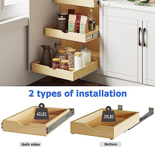 ALINE FURNITURE Pull Out Cabinet Organizer, Pull Out Cabinet Drawer, Slide Out Cabinet Organizer, Cabinet Organizers and Storage, Cabinet Pull Out Drawers for Kitchen (23''W x 21''D)