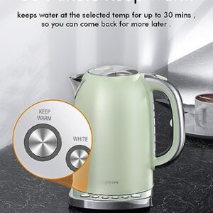 Electric Tea Kettle with Temperature Control, Longdeem 1.7L Stainless Steel Water Boiler & Heater, 1500 Watts for Fast Boiling, Cordless Serving with LED Light, Pastel Green