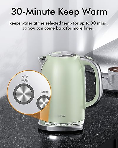 Electric Tea Kettle with Temperature Control, Longdeem 1.7L Stainless Steel Water Boiler & Heater, 1500 Watts for Fast Boiling, Cordless Serving with LED Light, Pastel Green