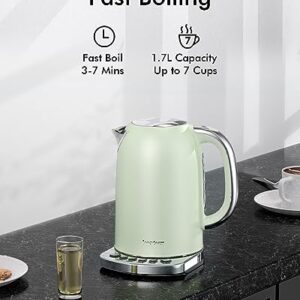 Electric Tea Kettle with Temperature Control, Longdeem 1.7L Stainless Steel Water Boiler & Heater, 1500 Watts for Fast Boiling, Cordless Serving with LED Light, Pastel Green