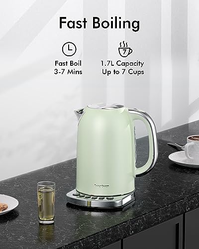 Electric Tea Kettle with Temperature Control, Longdeem 1.7L Stainless Steel Water Boiler & Heater, 1500 Watts for Fast Boiling, Cordless Serving with LED Light, Pastel Green