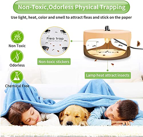 Protecker Flea Traps for Inside Your Home,2023 New Flea Light Trap Indoor,Flea with Refills and Sticky Pads,Flea Killer House,Sticky Flea Trap,Safe Kids,Friendly to Pets(2 Pack)