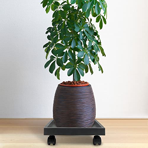 ZEONHEI 2 Packs 11.4 Inch Square Plant Caddy with Wheels, Heavy Duty Plant Dolly Saucer with Wheels, Rolling Plant Stand Wheeled Planter Caddy Tray for Moving Potted Plants, Grey