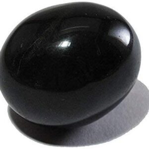 Black Shaligram/SHALIGRAM/Natural Shila for Pooja Religious Item for Blessings from GANDAKI RIVER