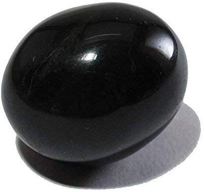 Black Shaligram/SHALIGRAM/Natural Shila for Pooja Religious Item for Blessings from GANDAKI RIVER