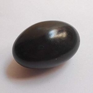 Black Shaligram/SHALIGRAM/Natural Shila for Pooja Religious Item for Blessings from GANDAKI RIVER