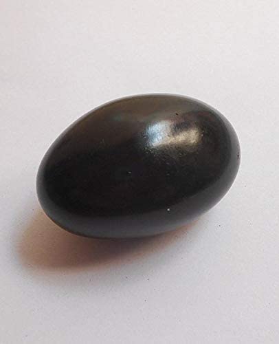 Black Shaligram/SHALIGRAM/Natural Shila for Pooja Religious Item for Blessings from GANDAKI RIVER