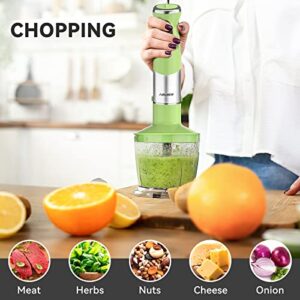 Immersion Blender Handheld 5 in 1 Hand Blender, 800W Hand Mixer Stick, BPA-Free 12 Speed and Turbo Mode Handheld Blender 304 Stainless Steel, With 20 oz Mixing Beaker, 17 oz Chopper, Whisk and Milk Frother for Soup, Smoothies, Baby Food, Sauce, Abuler (Gr