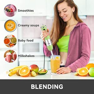 Immersion Blender Handheld 5 in 1 Hand Blender, 800W Hand Mixer Stick, BPA-Free 12 Speed and Turbo Mode Handheld Blender 304 Stainless Steel, With 20 oz Mixing Beaker, 17 oz Chopper, Whisk and Milk Frother for Soup, Smoothies, Baby Food, Sauce, Abuler (Gr